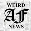 Weird AF News – By Comedian Jonsey